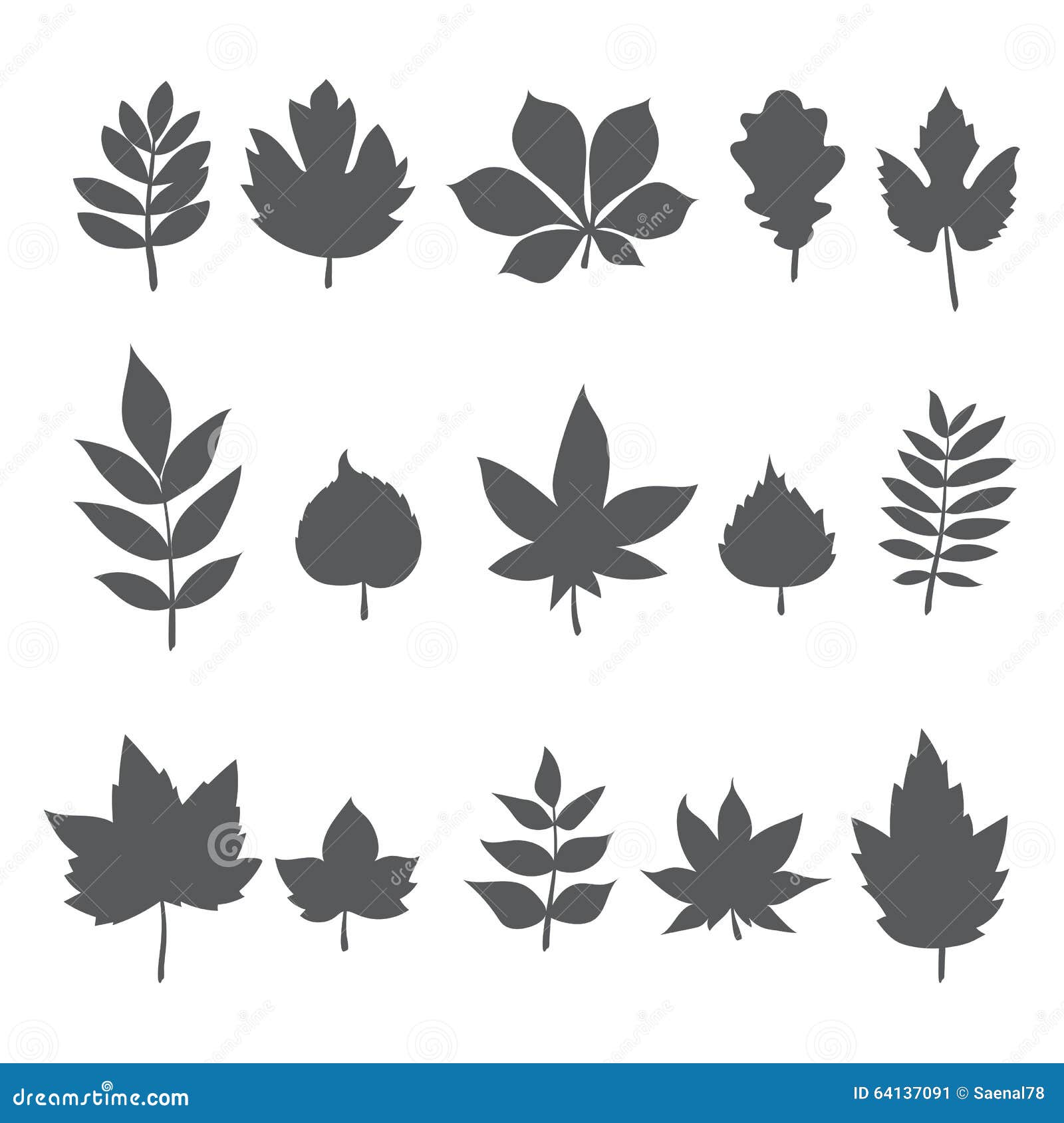 Silhouettes Of Tree Leaves Autumn Leaf Collection Stock Vector