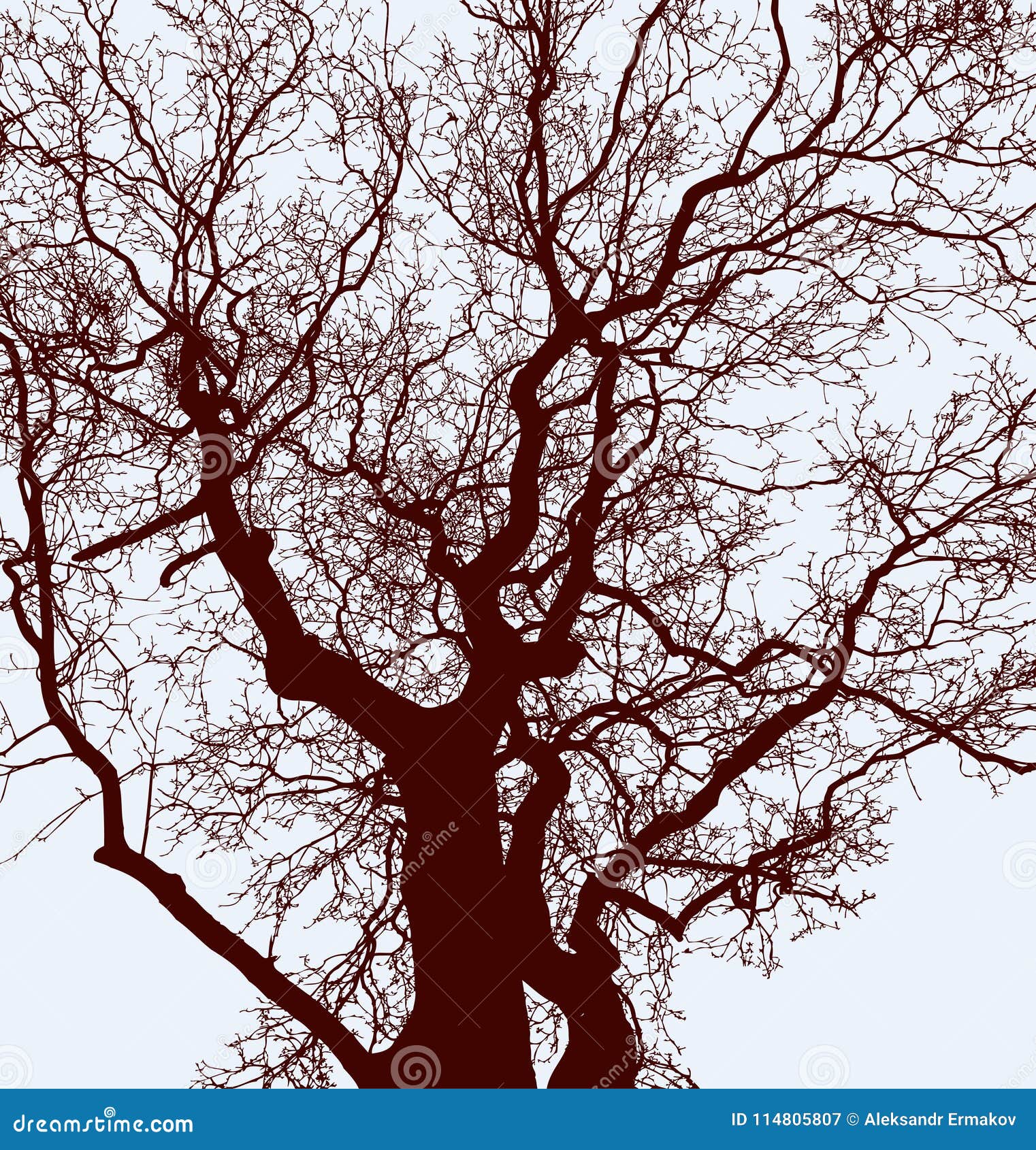 Silhouettes of the Tree Trunks with Branches Stock Vector ...