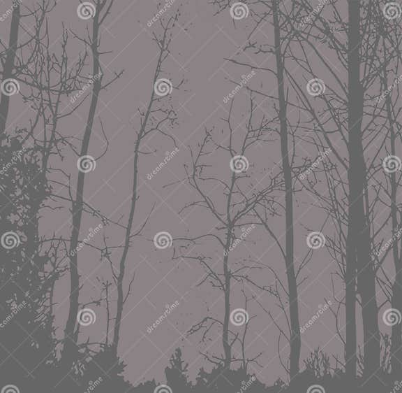 Silhouettes of Trees on Subtle Background. Tree Pattern Stock ...