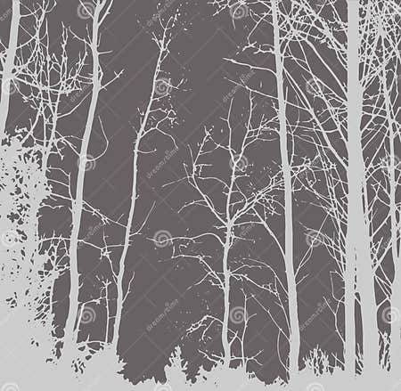 Silhouettes of Trees on Subtle Background. Tree Pattern Stock ...