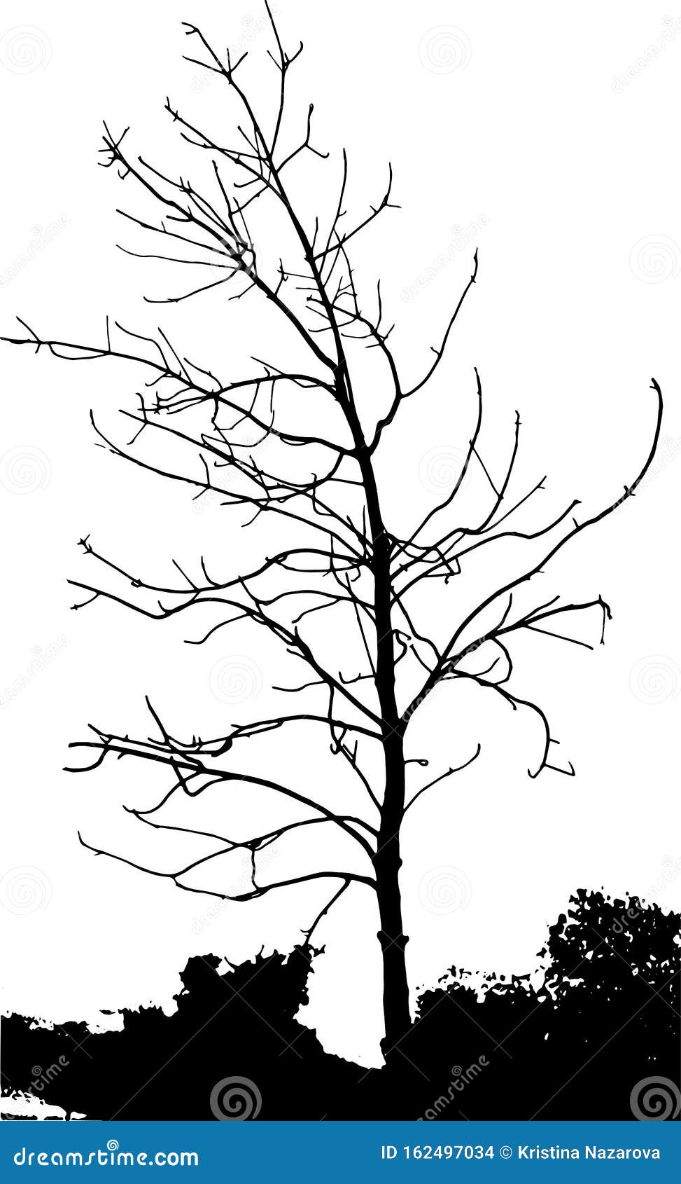 Silhouettes of Trees on Subtle Background. Tree Pattern Stock ...