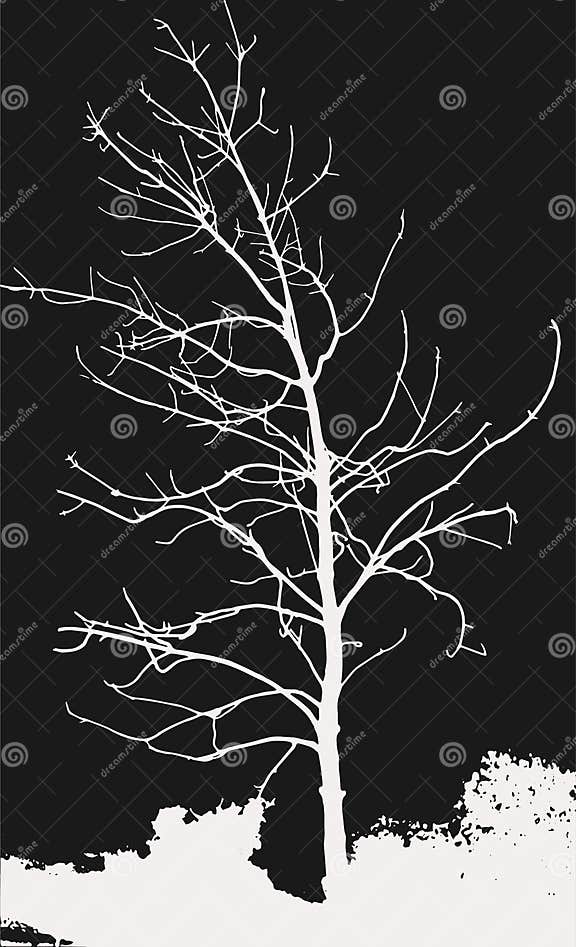 Silhouettes of Trees on Subtle Background. Tree Pattern Stock ...
