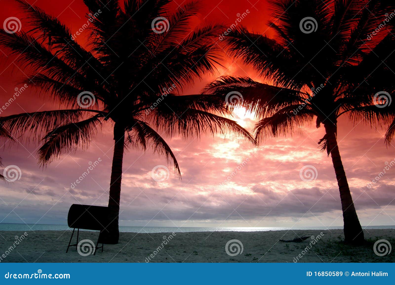 Silhouettes of Two Coconut Trees Stock Image - Image of background ...
