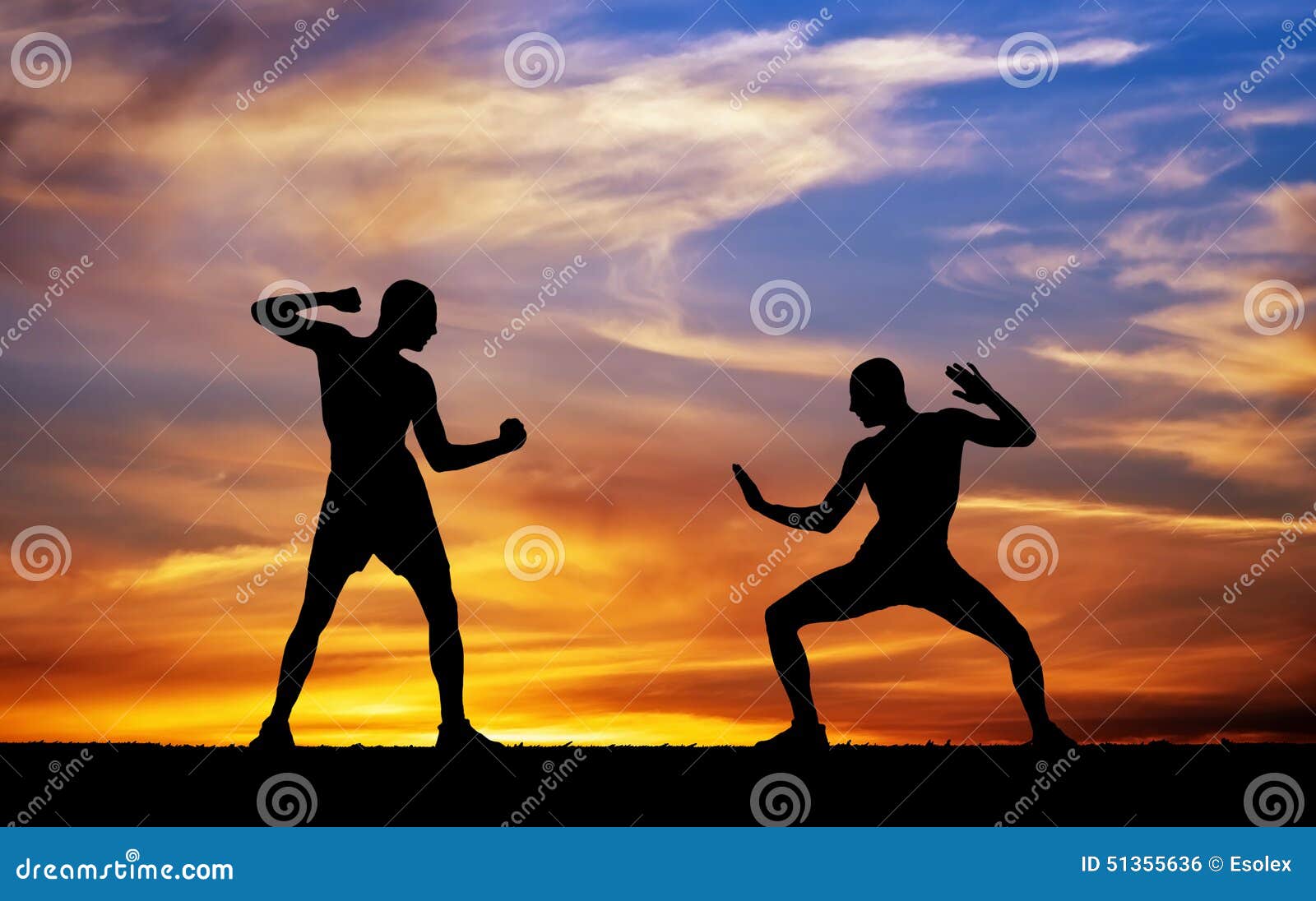 Silhouettes of Two Fighters on Sunset Background Stock Photo - Image of ...