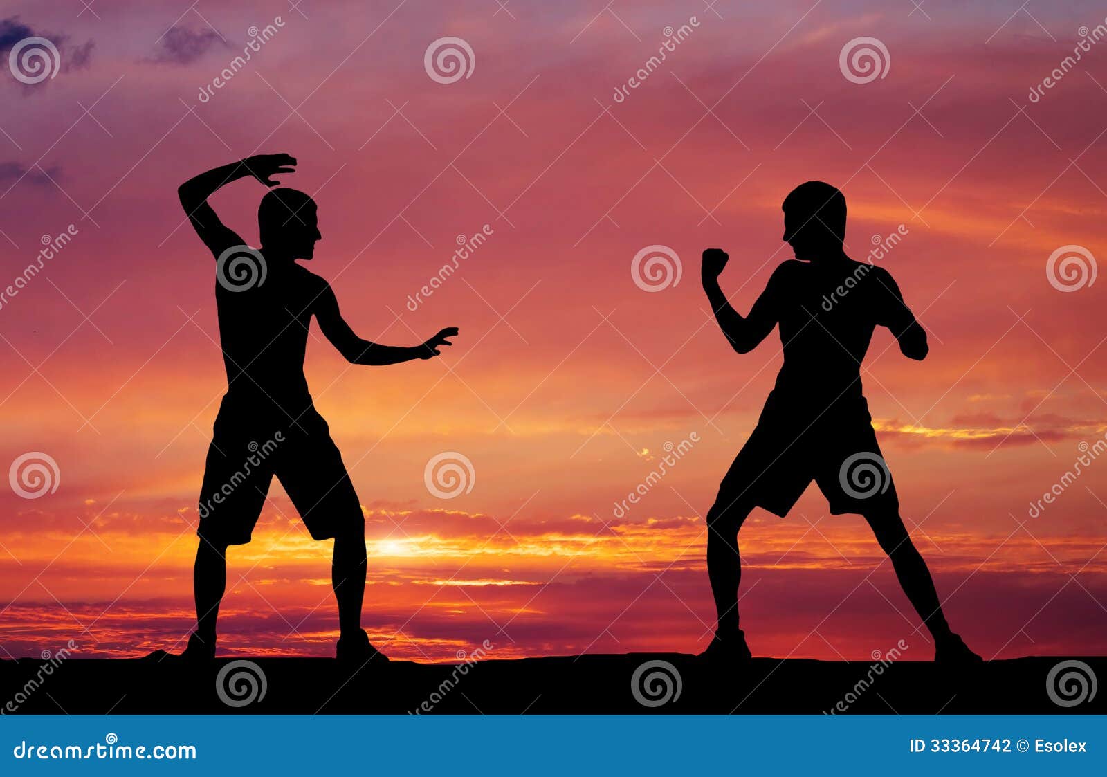 Silhouettes of Two Fighters Stock Photo - Image of sport, person: 33364742