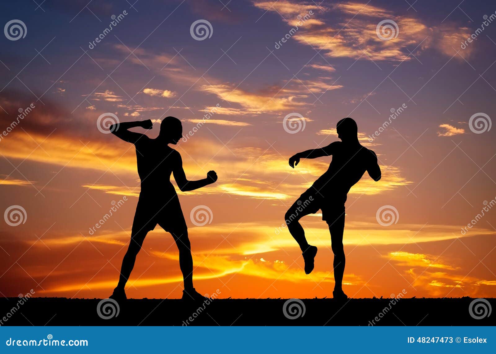 Silhouettes of Two Fighters Stock Image - Image of duel, fighters: 48247473