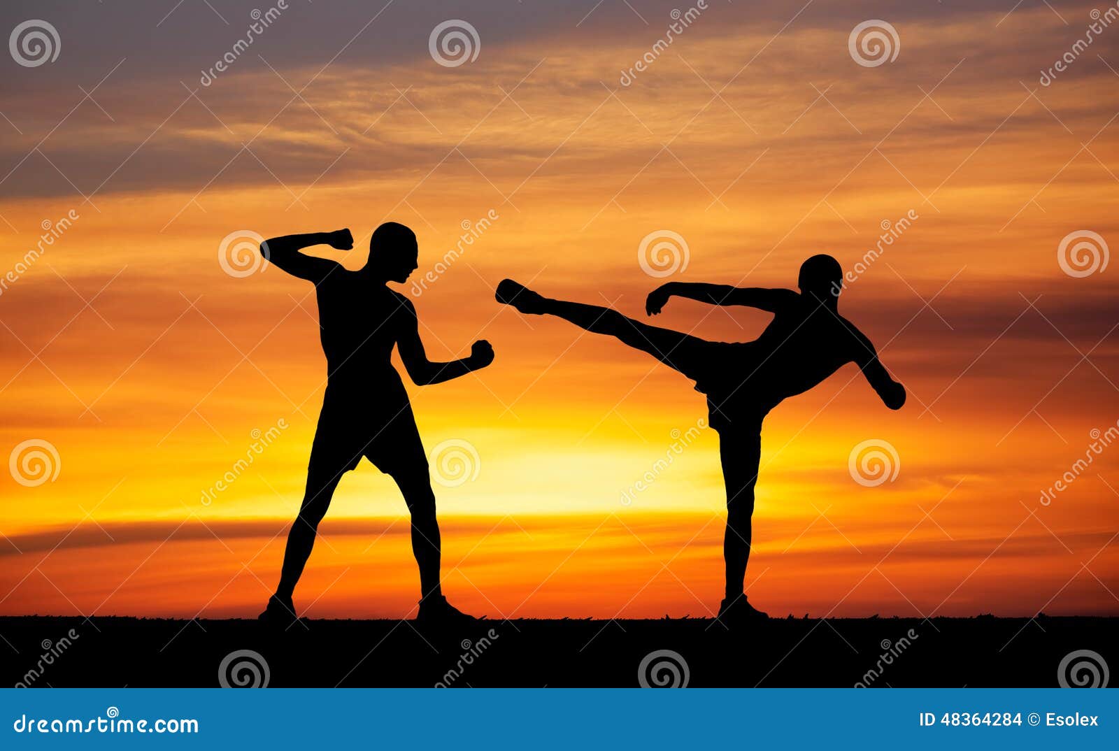 Silhouettes of Two Fighters Stock Photo - Image of kombat, combat: 48364284