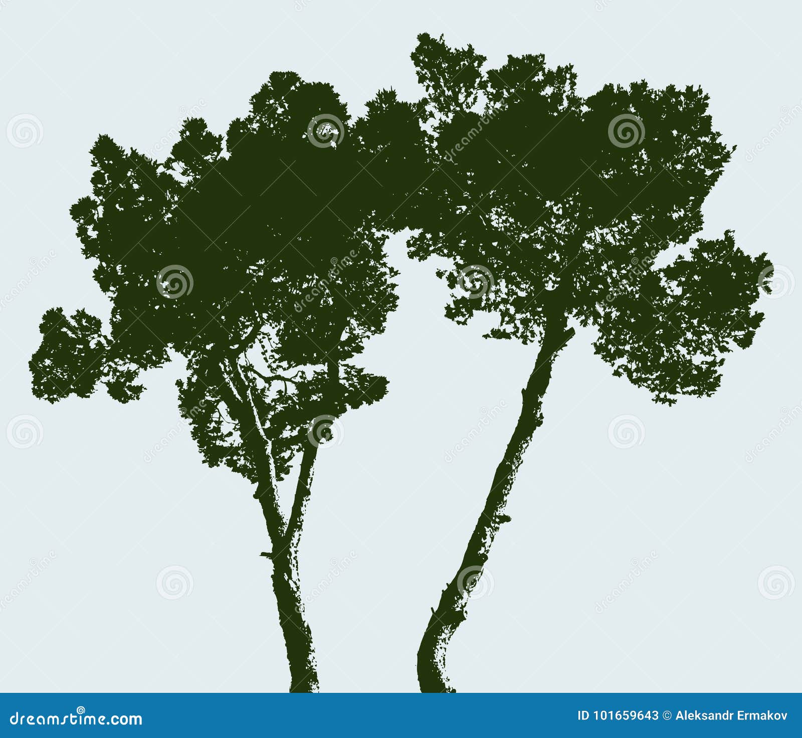 Silhouettes of Two Pine Trees Stock Vector - Illustration of silhouette ...