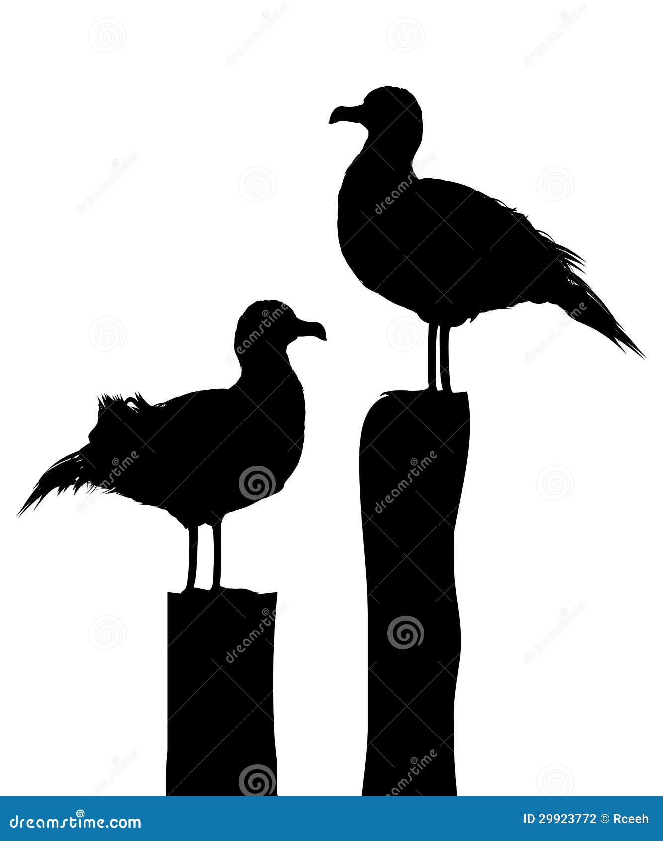 Sea gull silhouettes stock vector. Illustration of artwork - 29923772 Sea gull silhouettes stock vector. Illustration of artwork - 29923772