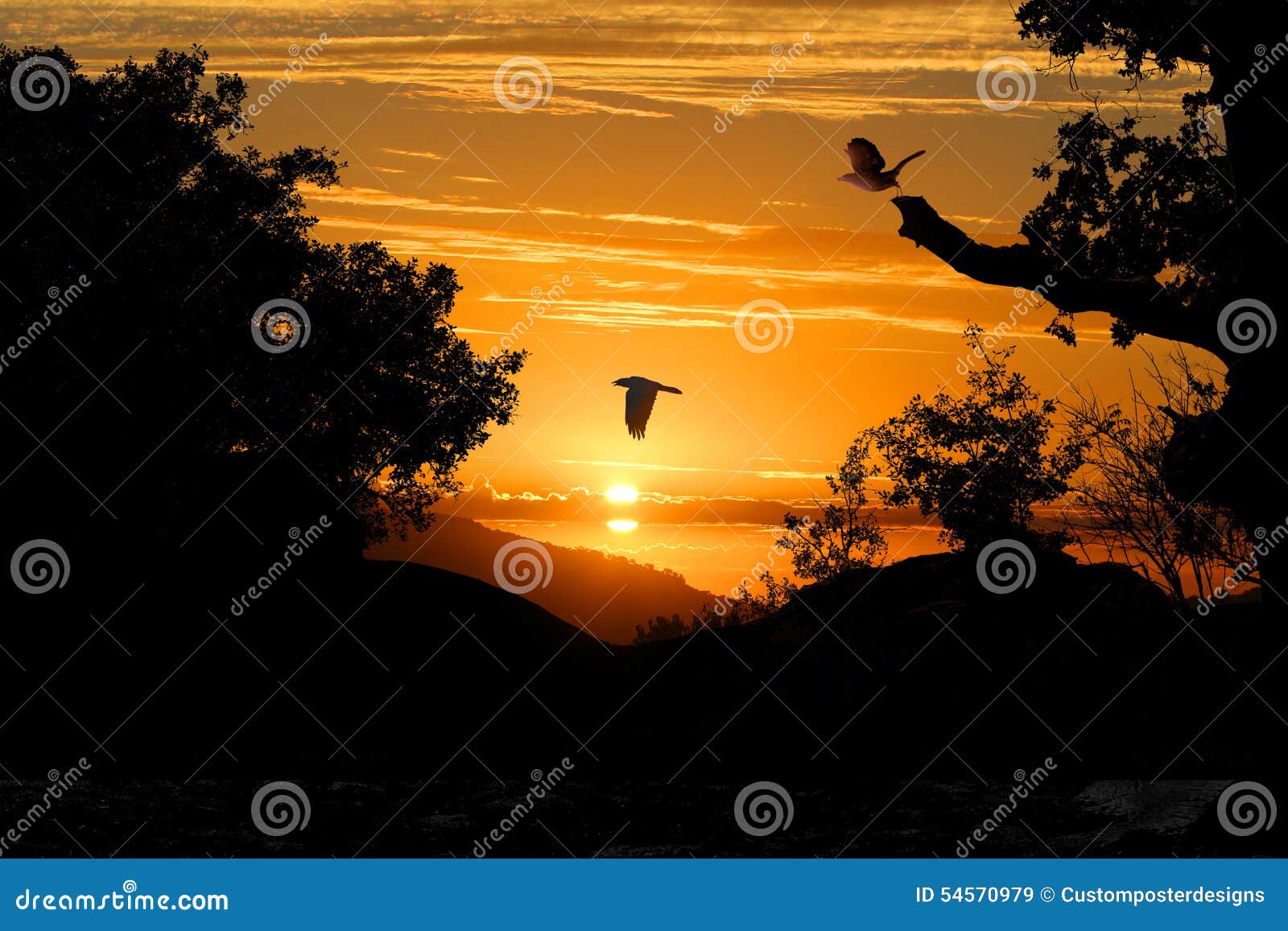 A Silhoutte Sunset of Trees and Birds. Stock Image - Image of natural ...