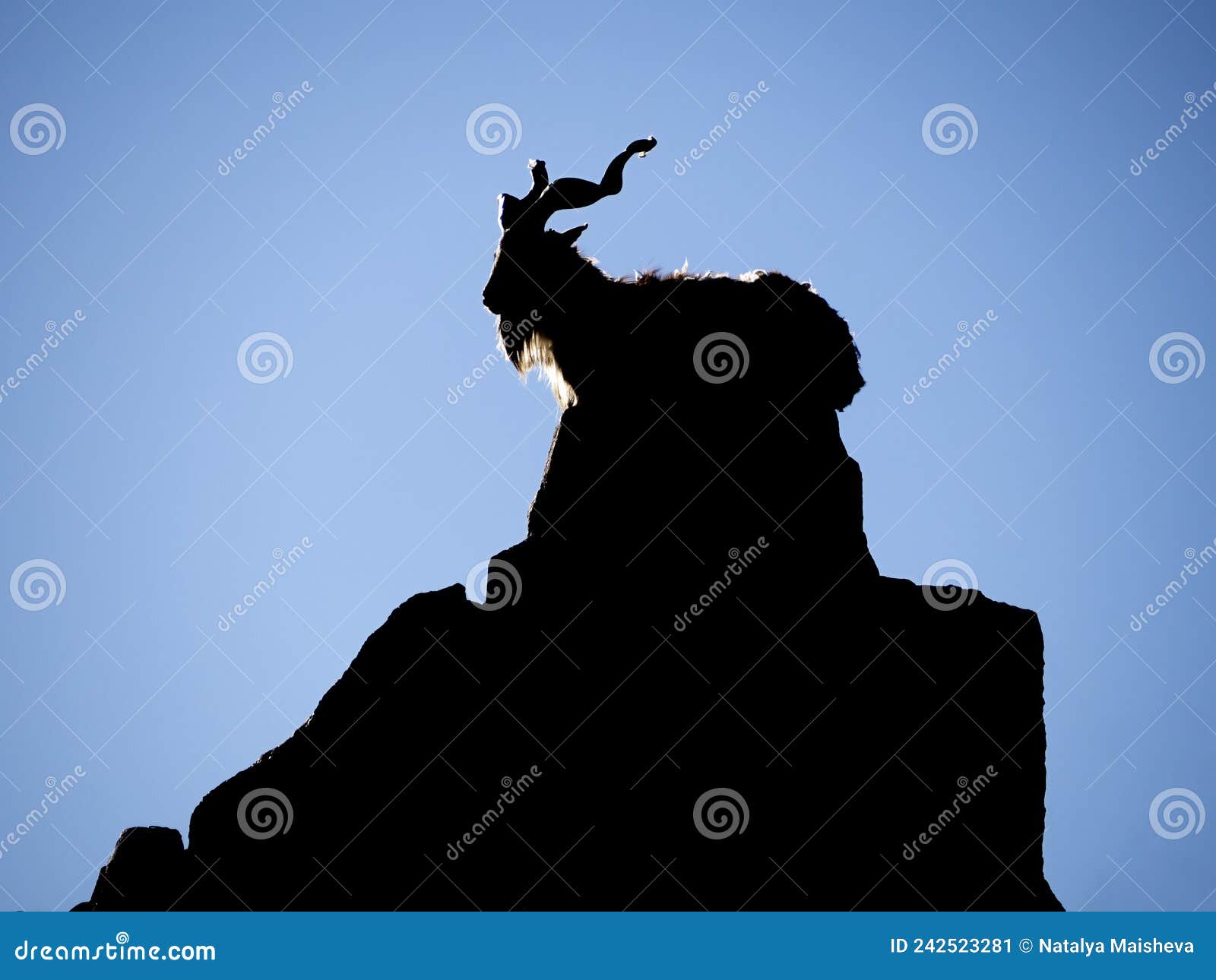 Silhueta De Uma Cabra Sentada Sobre Uma Montanha. Imagem de Stock ...