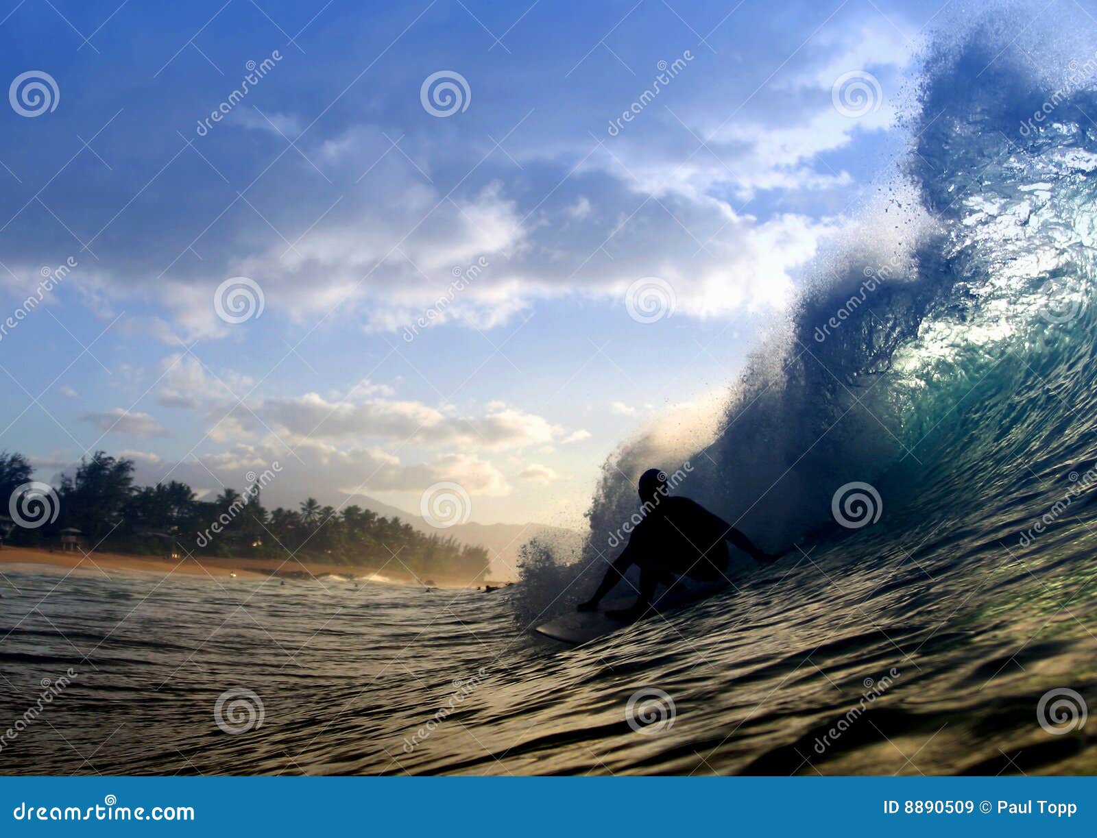 Silhueta surfando imagem de stock. Imagem de macho, costa - 8890509