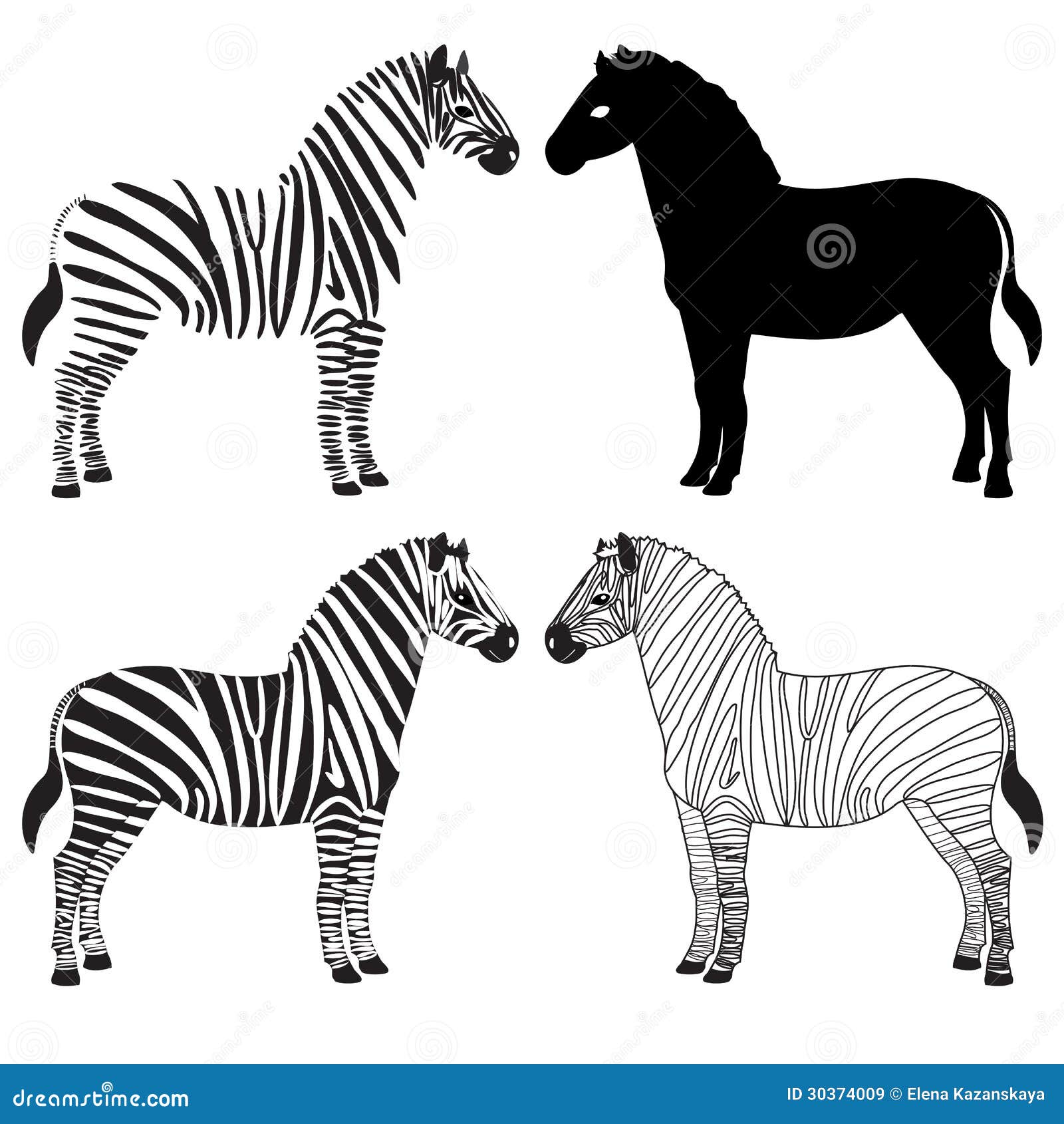 Silhuetas Da Zebra Ajustadas Ilustração Stock - Ilustração de isolado ...