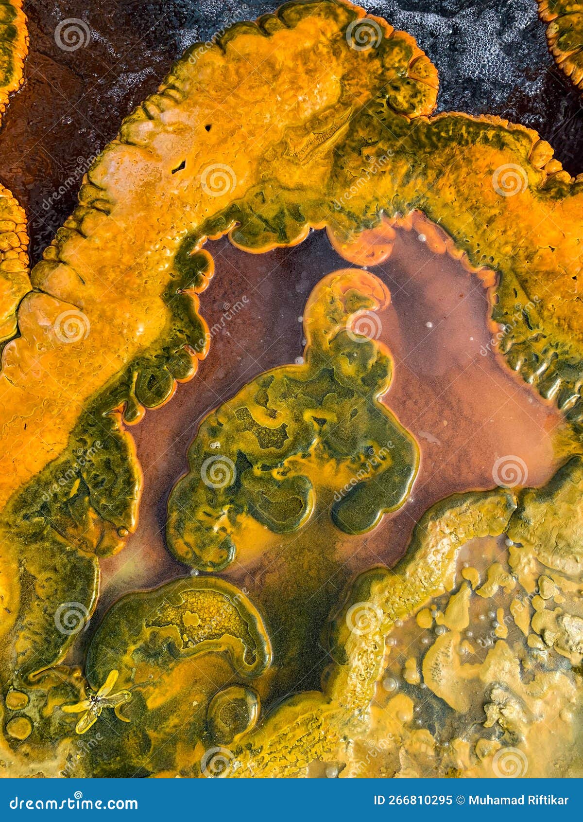 Silica Sinter Geothermal Energy Stock Image - Image of temperature ...