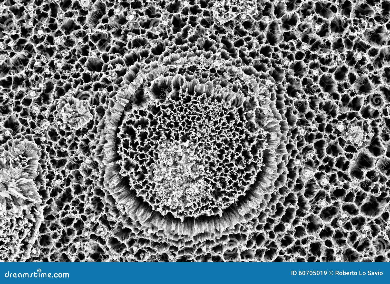 Silicon Nanowires Observed with an Electron Microscope Stock Image ...