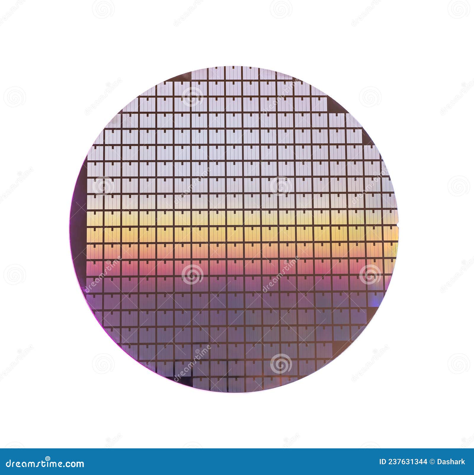 Silicone Wafer In A Tray Stock Photography | CartoonDealer.com #30511550
