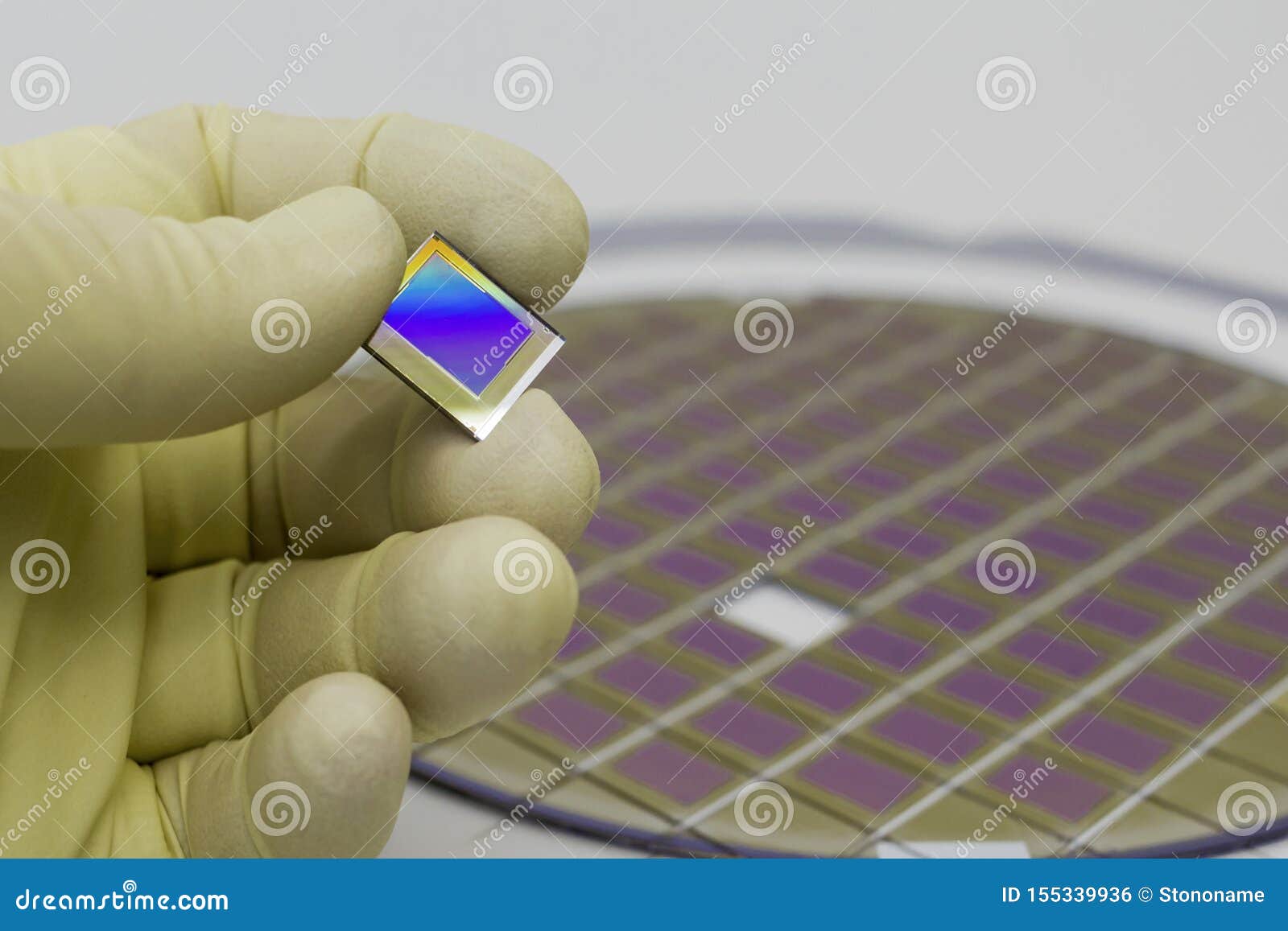 Silicon Wafer with Microchips, Fixed in a Holder with a Steel Frame on ...