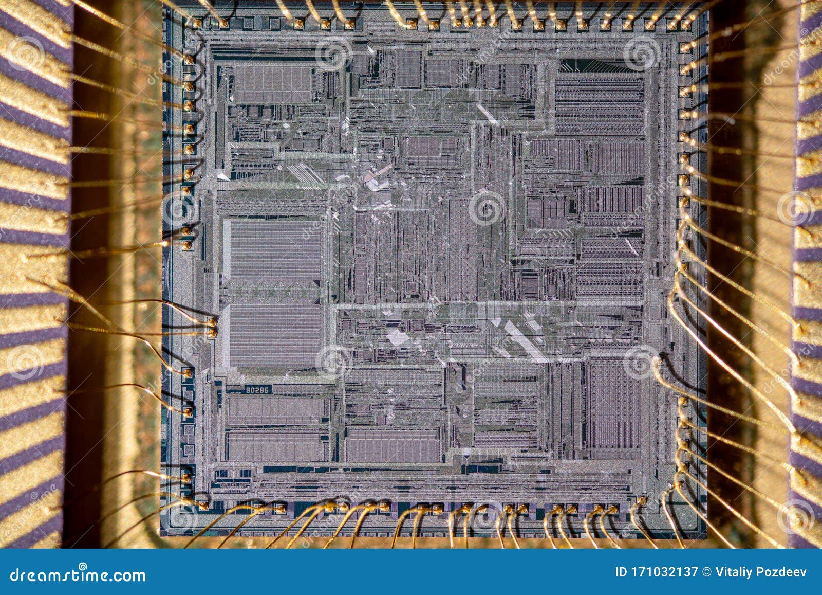 Silicon Wafer with Printed Electronic Circuit Stock Image - Image of ...