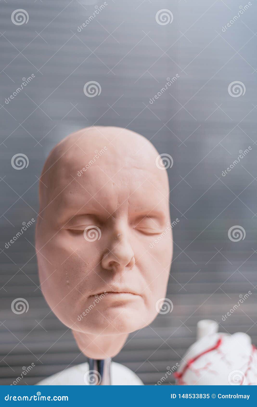 Silicone Face for Training Cosmetological Injections of Botulinum Toxin ...