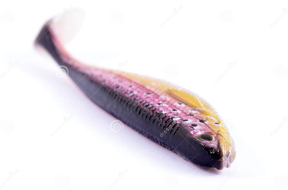 Silicone Fish stock image. Image of isolated, fish, bait - 53371919