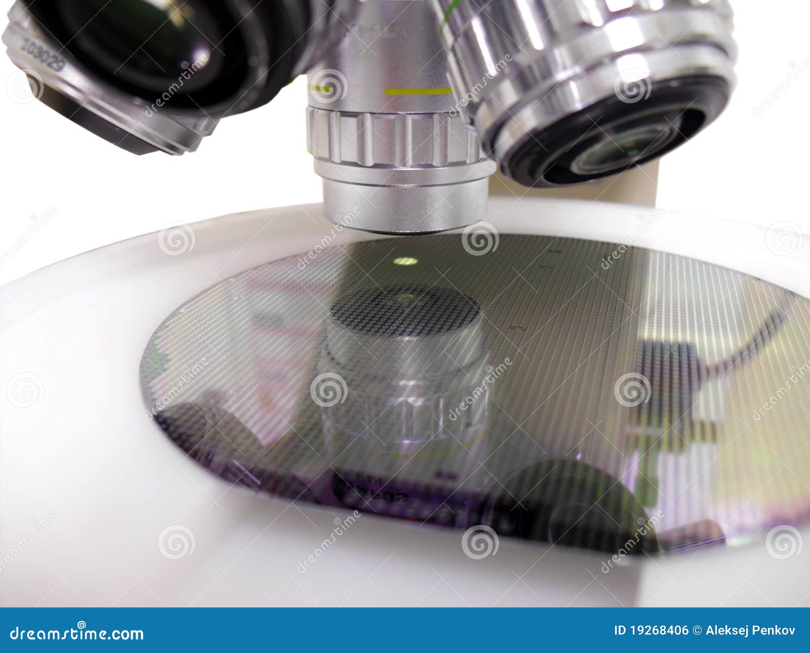 Silicone Wafer Under the Microscope Stock Photo - Image of ...