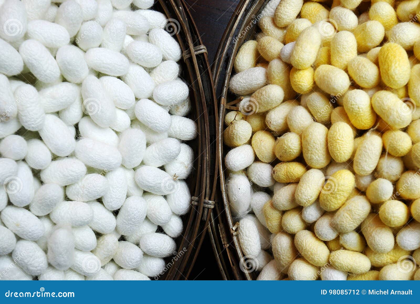 Silk cocoon stock photo. Image of japan, nature, organic - 98085712