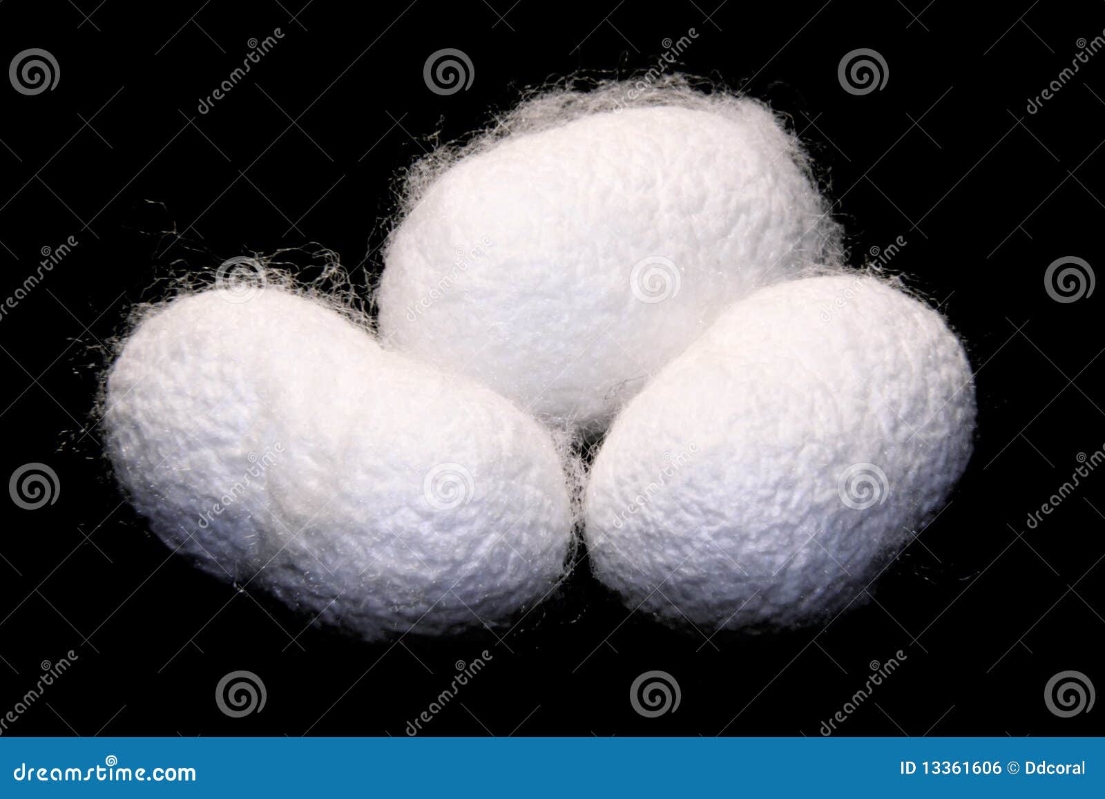 Silk cocoons stock photo. Image of sericulture, silken - 13361606