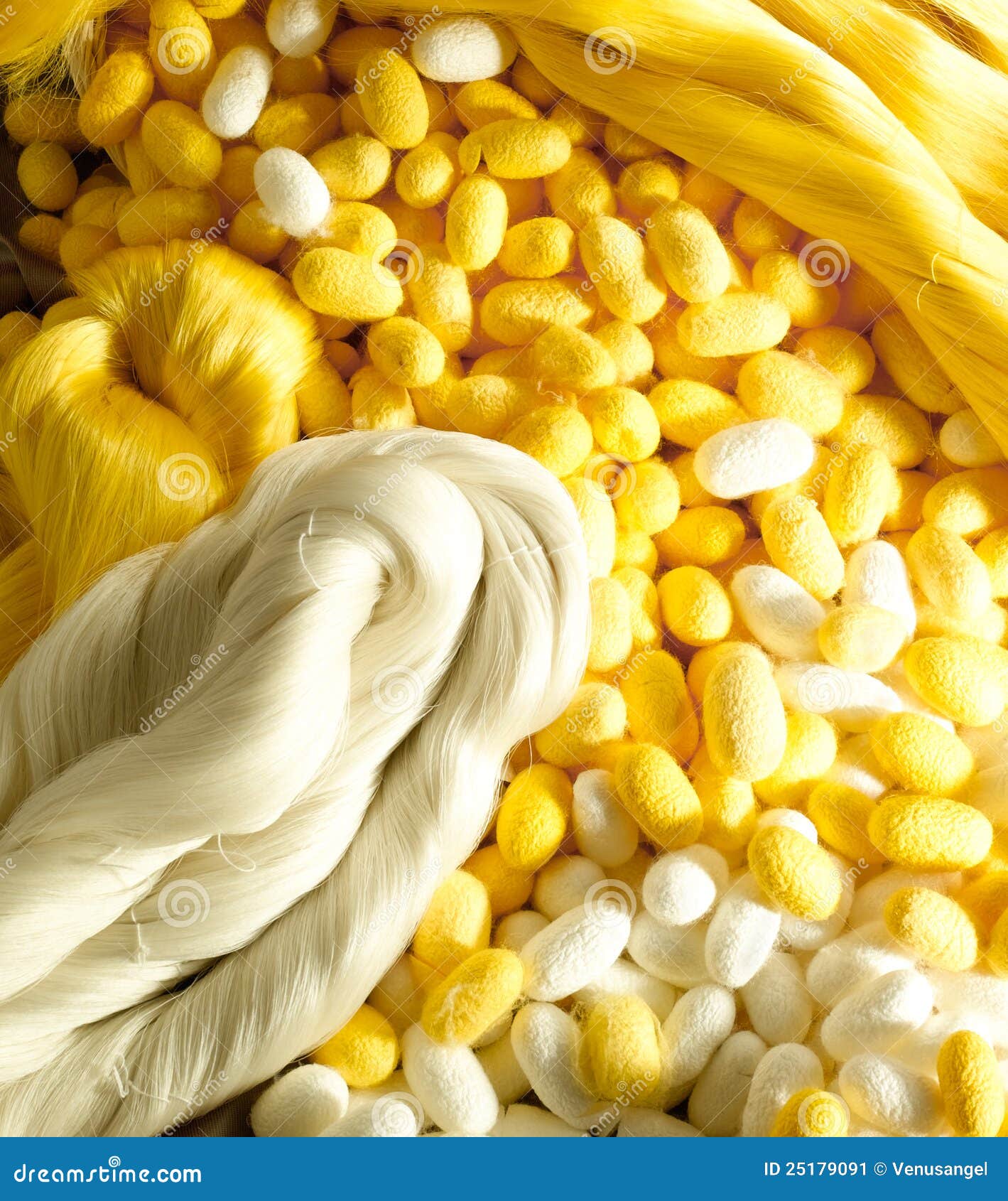 Silk Cocoons and Raw Silk Threads Stock Image - Image of pattern, floss ...