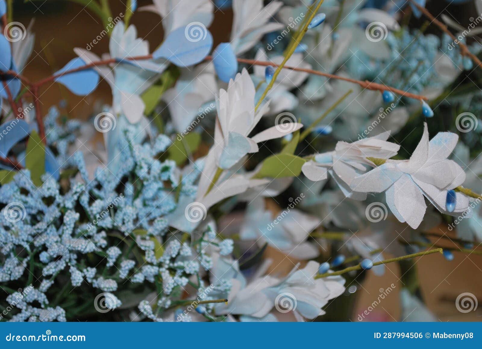 A Splash of Blue stock photo. Image of flowers, flower - 287994506