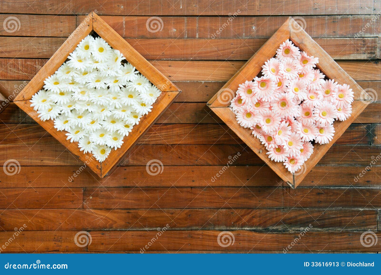 Silk Gerbera Daisies with Frame on Wooden Wall Stock Image - Image of ...