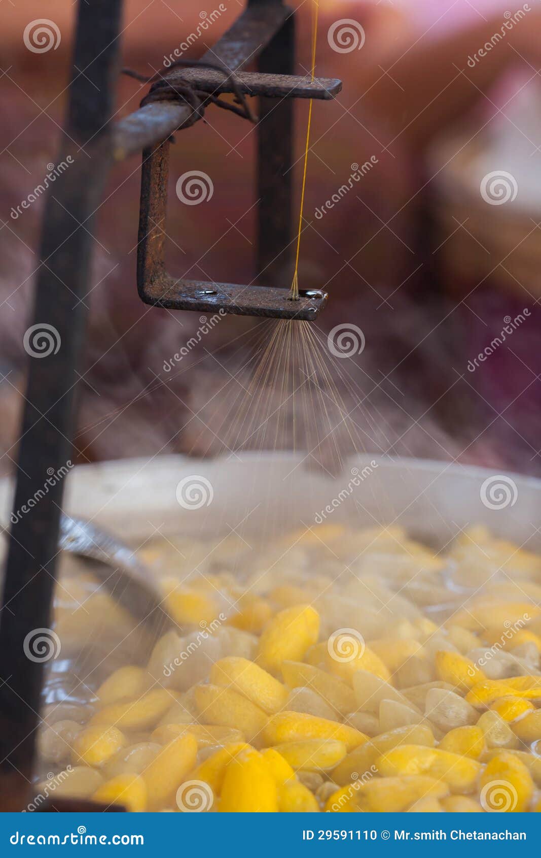 Silk making stock photo. Image of fabric, larva, leaf - 29591110