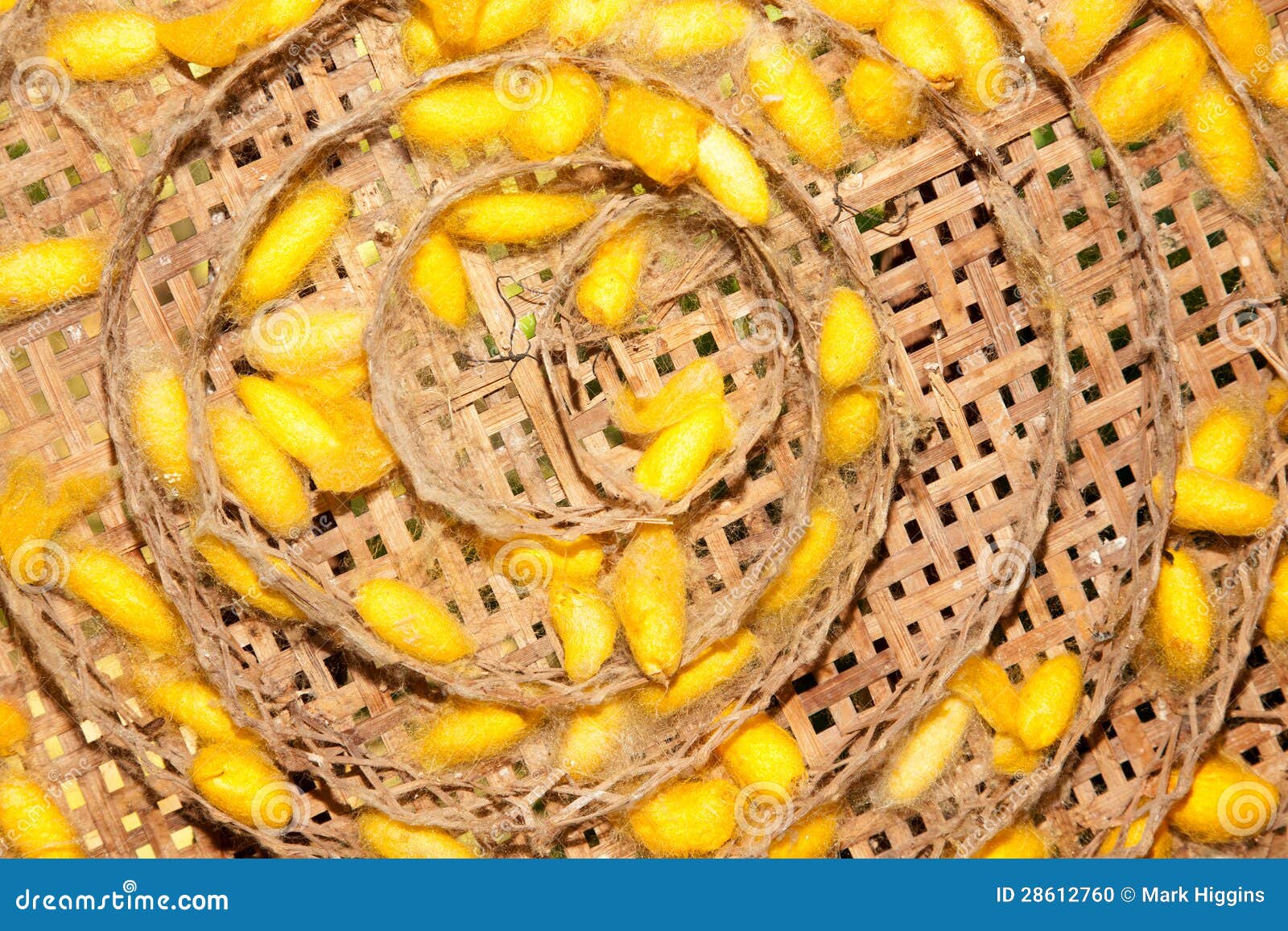 Silk making cambodia stock photo. Image of material, clothing - 28612760