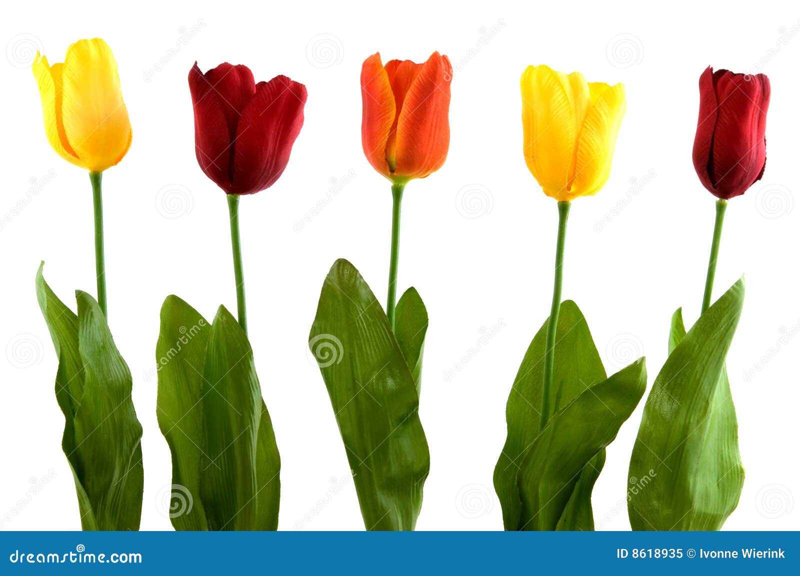 Silk modern tulips stock image. Image of decoration, pattern - 8618935
