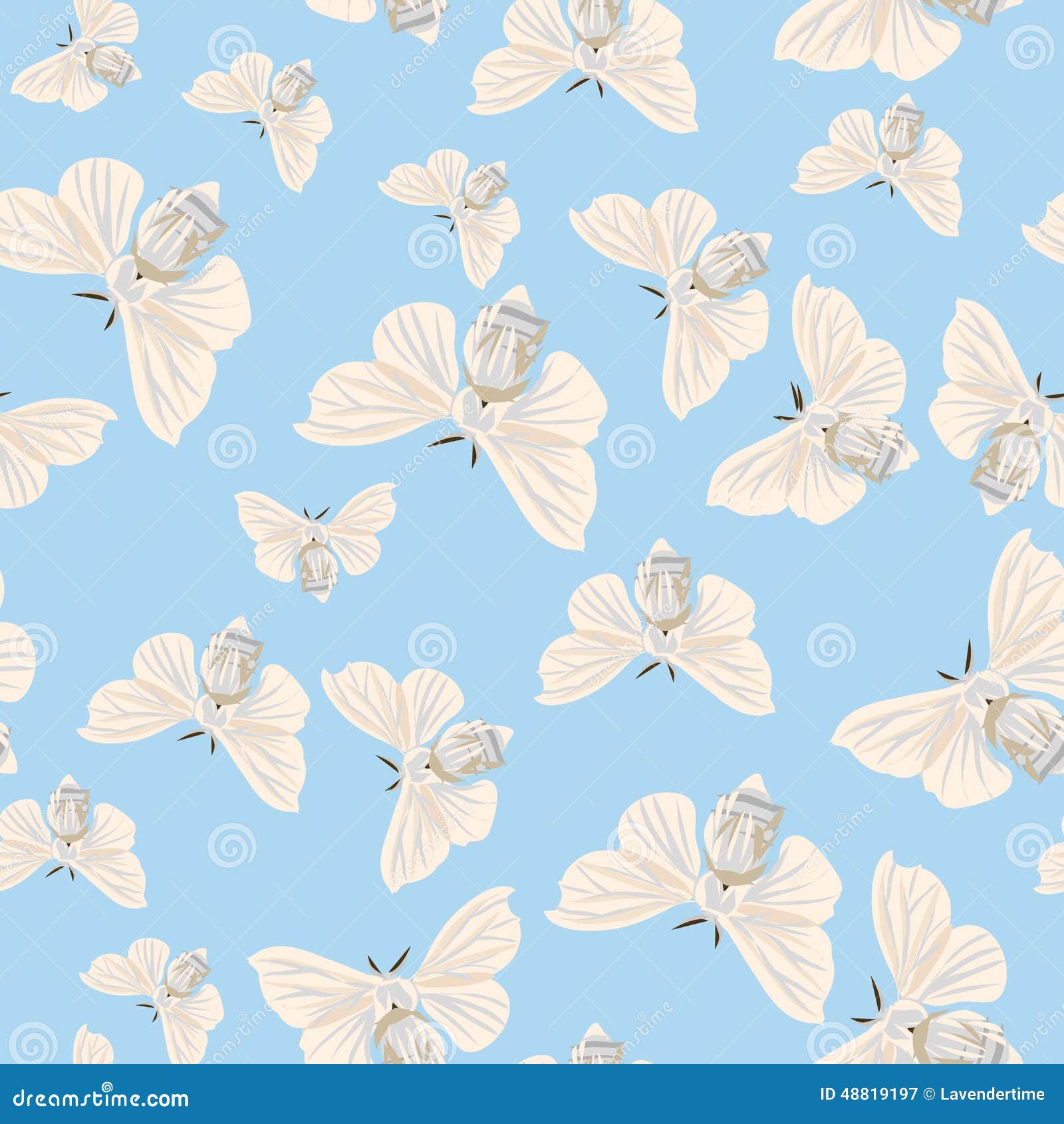 Silk Moth Metamorphosis And Life Stages. Silkworm Black And White ...