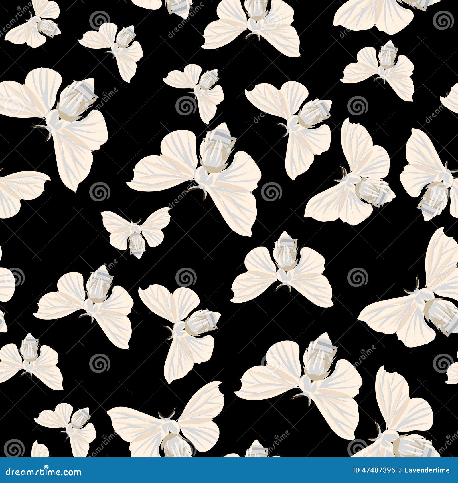 Silk Moth Life Cycle Illustrated Vector Diagram | CartoonDealer.com ...