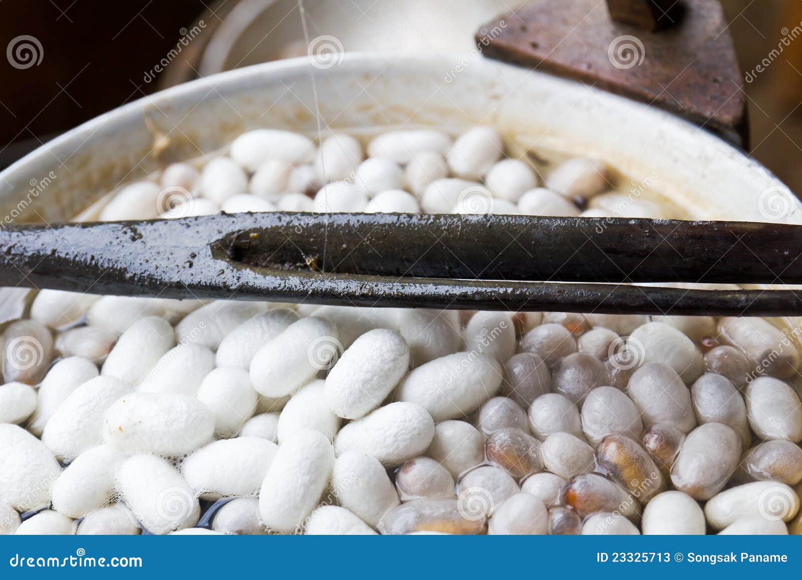 Silk Production Process stock image. Image of silk, pampering - 23325713
