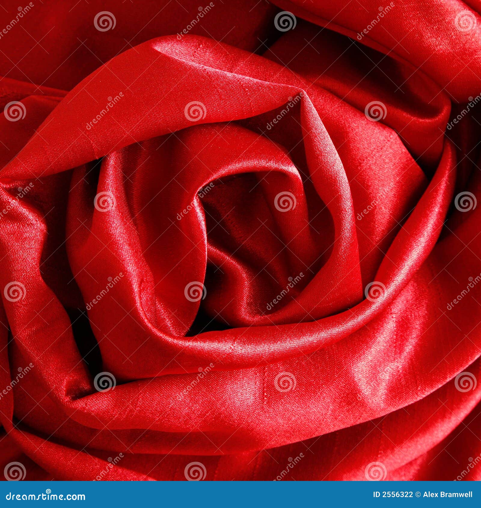 Silk Rose stock photo. Image of valentine, silk, soft - 2556322