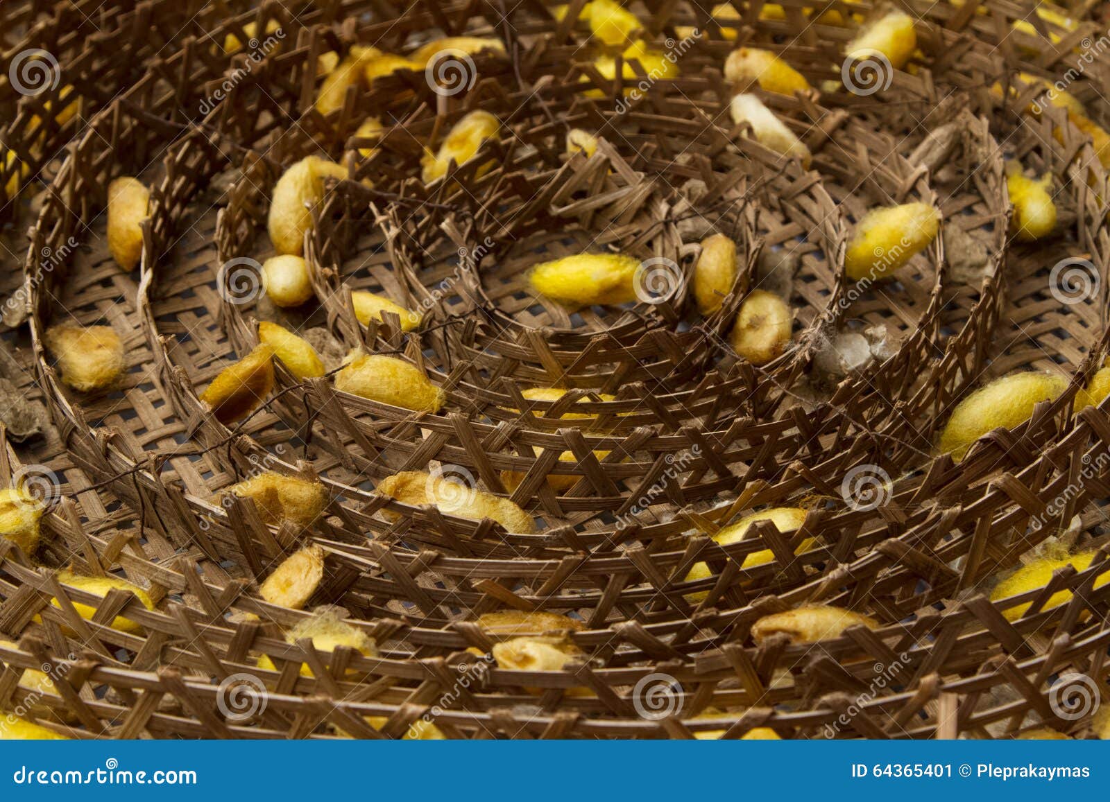 Silk worms nest stock image. Image of fabricate, fabric - 64365401