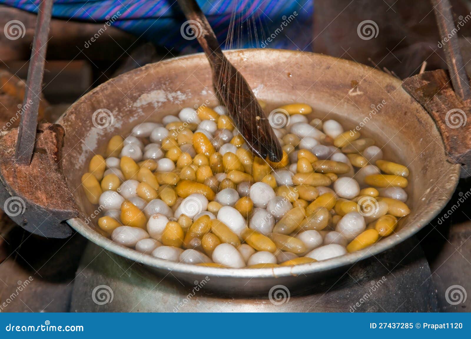 Silkworm stock image. Image of organic, worm, protecting - 27437285