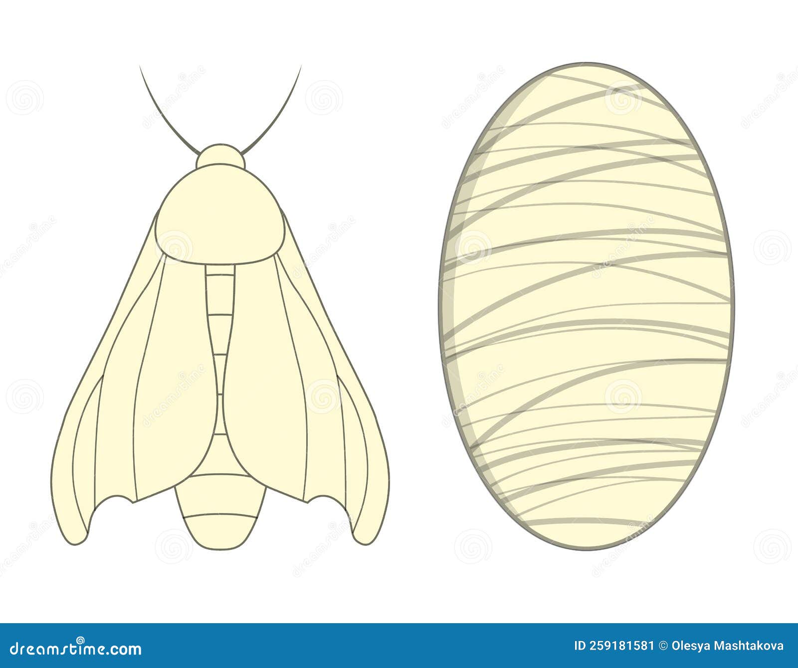 Icon Of Red Silk Or Velvet Curtains And Pelmets For Theater Or Circus ...