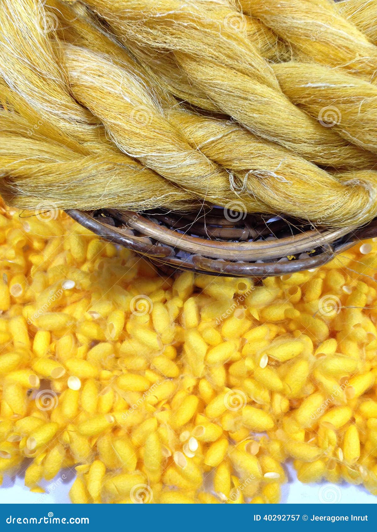 Silkworm cocoons stock image. Image of nature, wool, fiber - 40292757