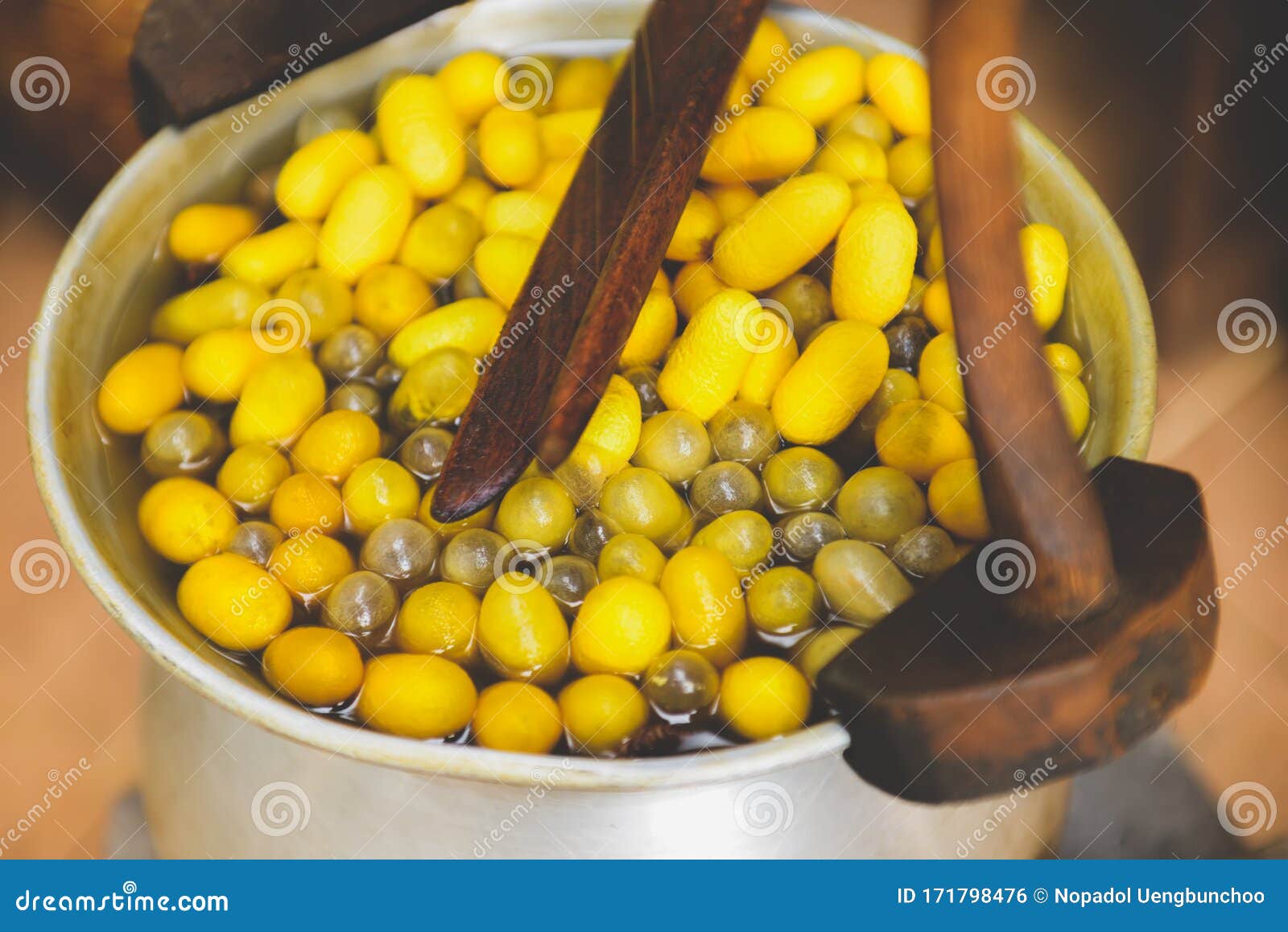 Silkworm Nest Capsules Industry Farm Stock Photo - Image of capsule ...