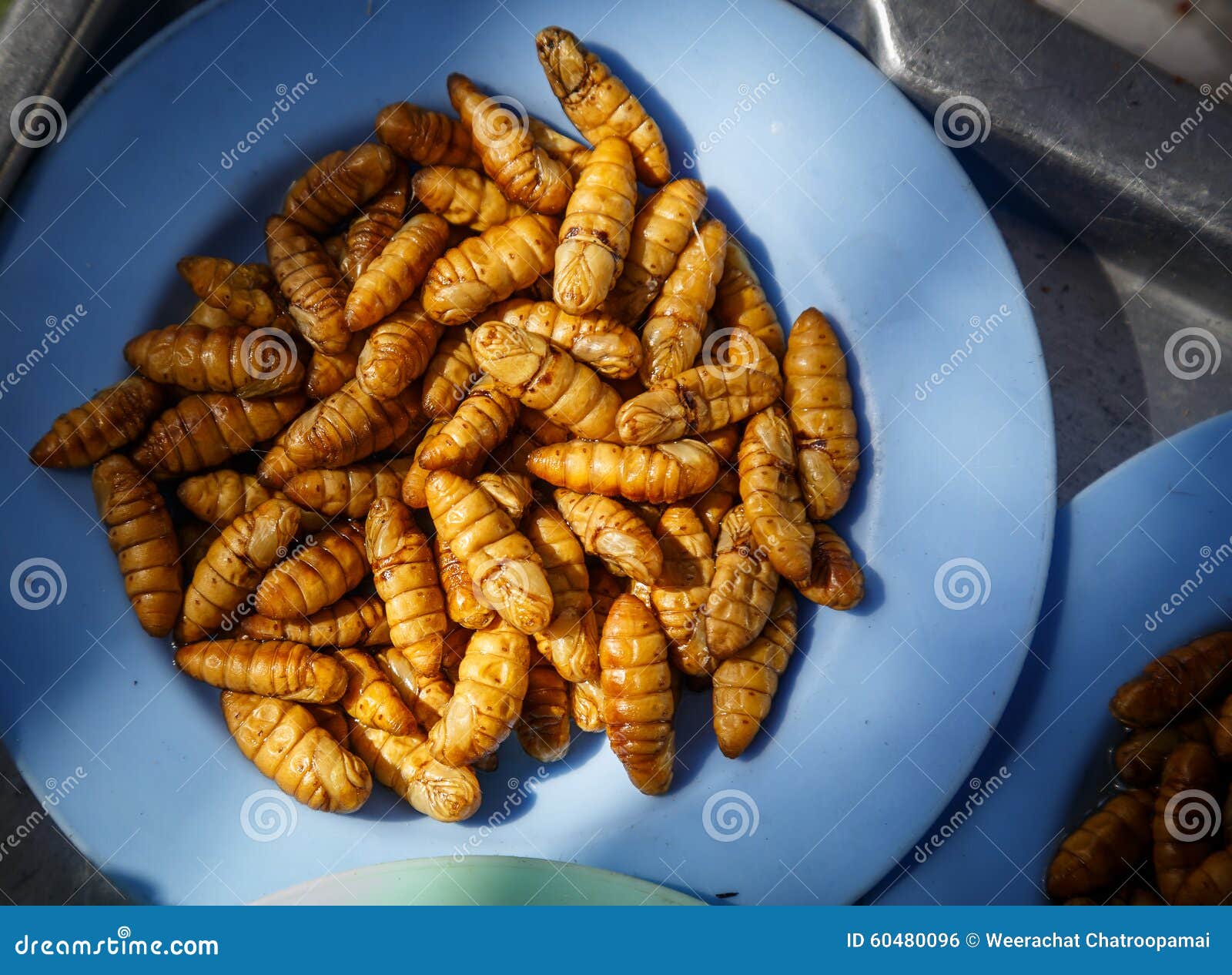 Silkworm Cocoon Food