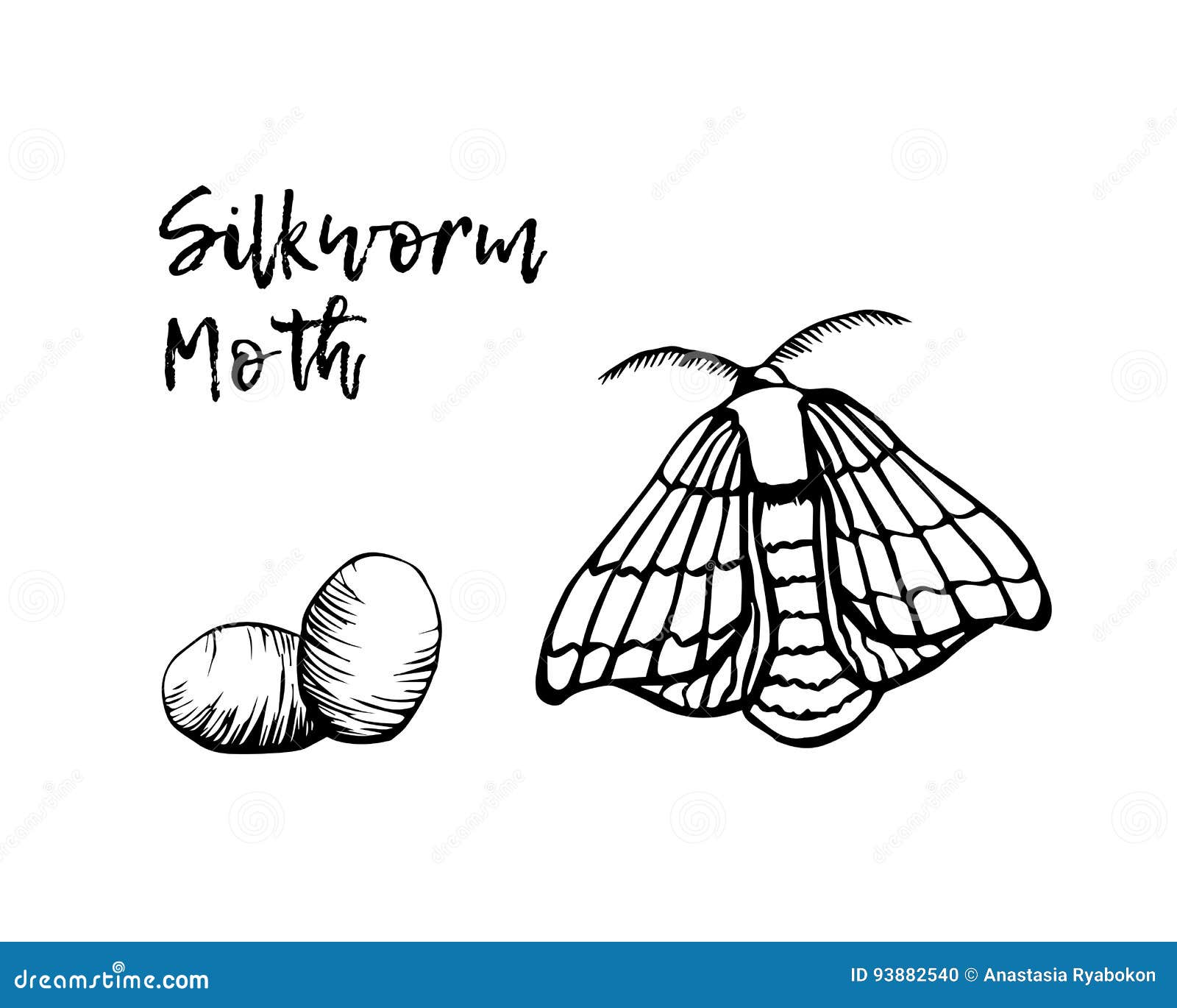 Silkworm Sketchy Illustration Vector Stock Vector - Illustration of ...