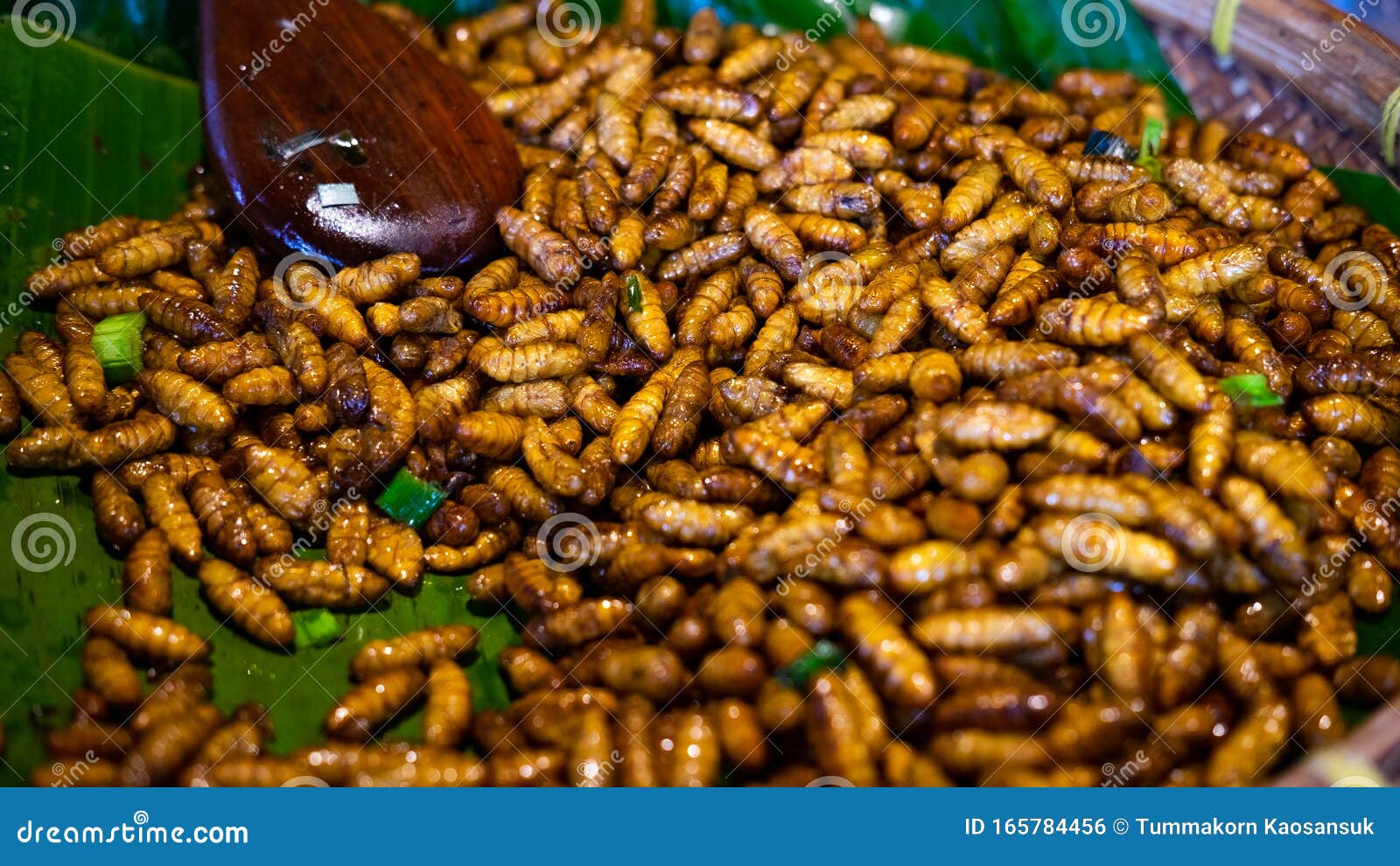 Silkworm is a Snack for Western Thai People. Stock Photo - Image of ...