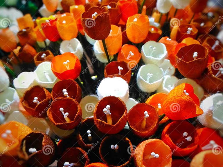 Flower from cocoons stock photo. Image of protective - 109836976