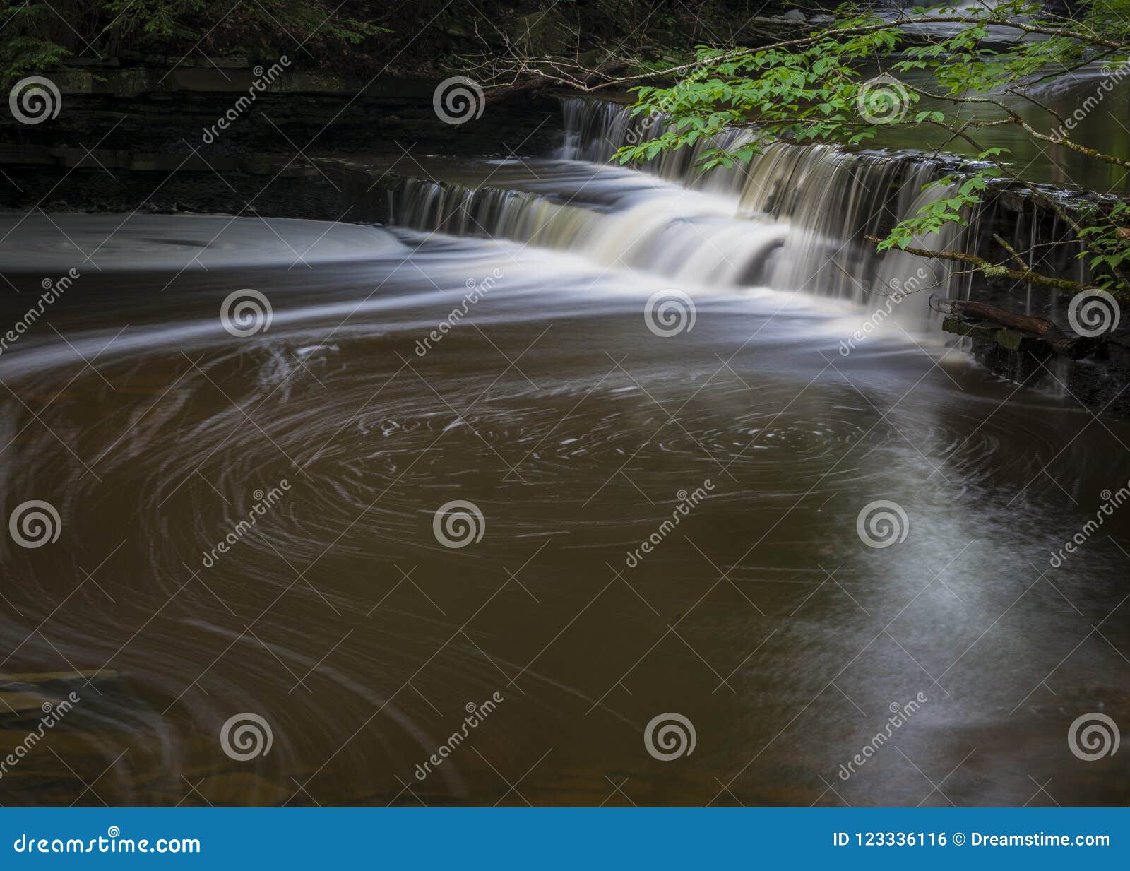 Silky Smooth Waterfall stock photo. Image of swimming - 123336116