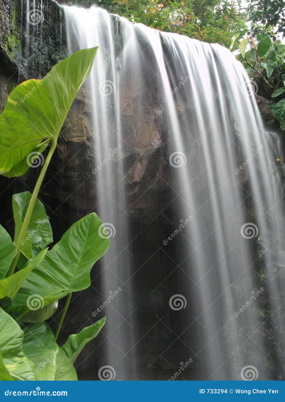 Silky smooth waterfall stock photo. Image of silky, smooth - 733294