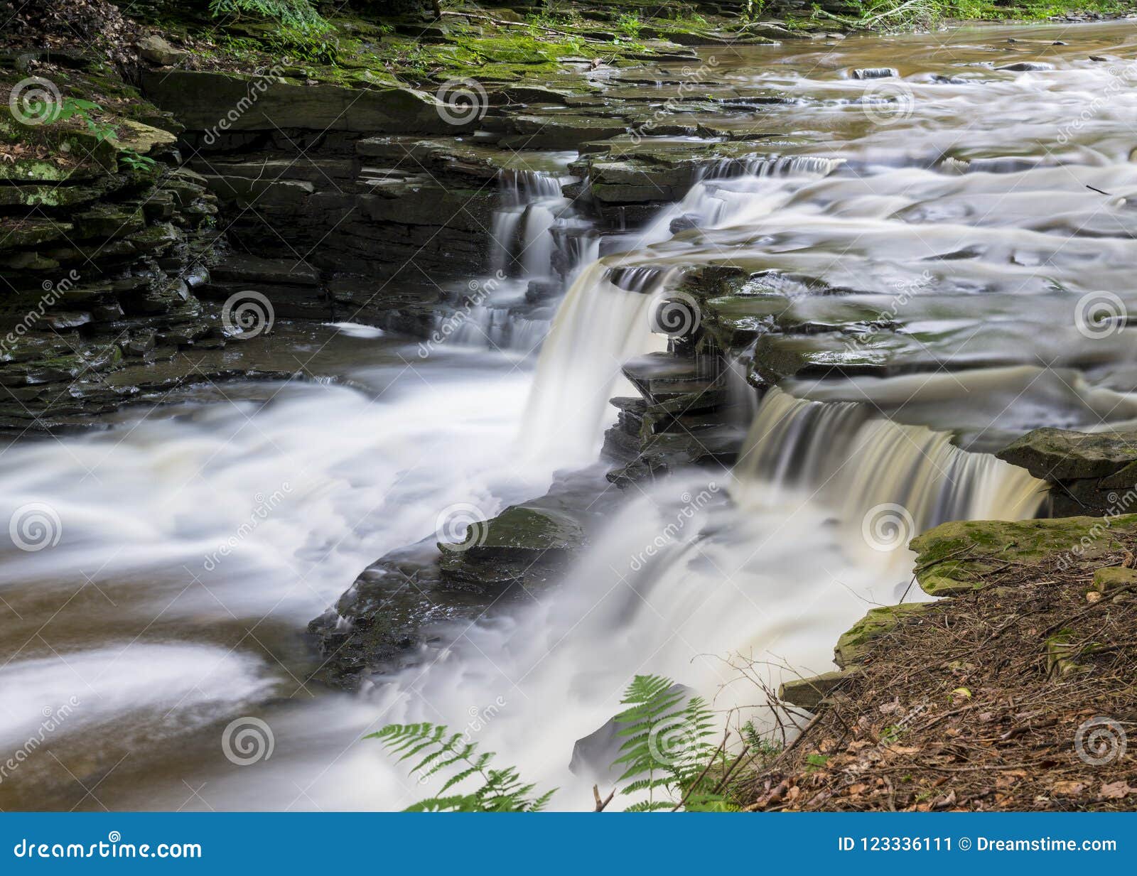 Silky Smooth Waterfall stock image. Image of rapids - 123336111
