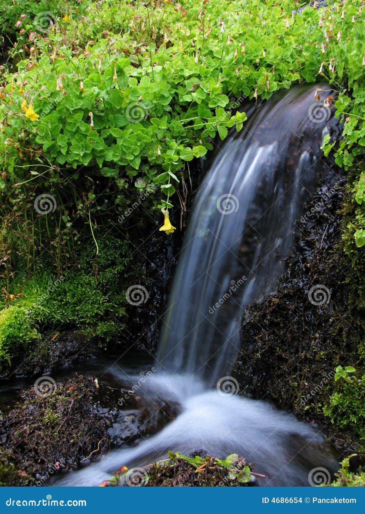 Silky spring stock photo. Image of long, flowing, source - 4686654